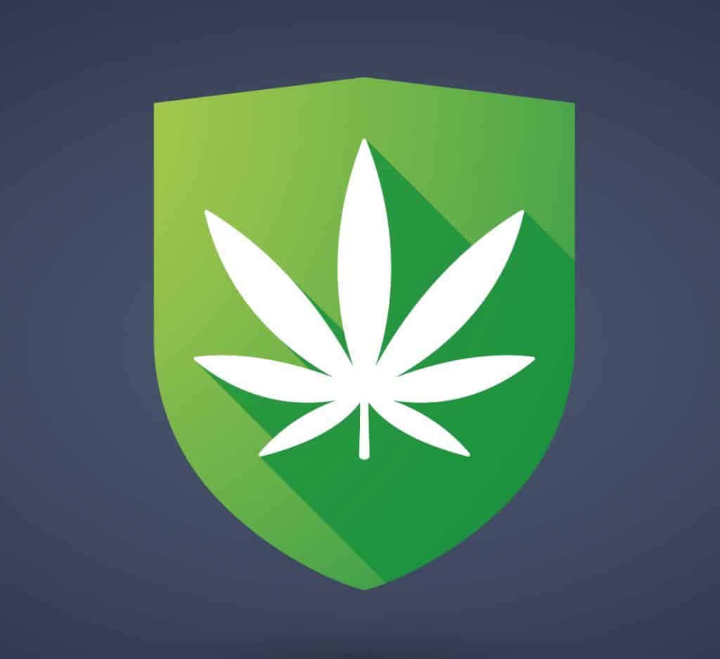 Minnesota Cannabis Security Plan + Handling the Security Diagram